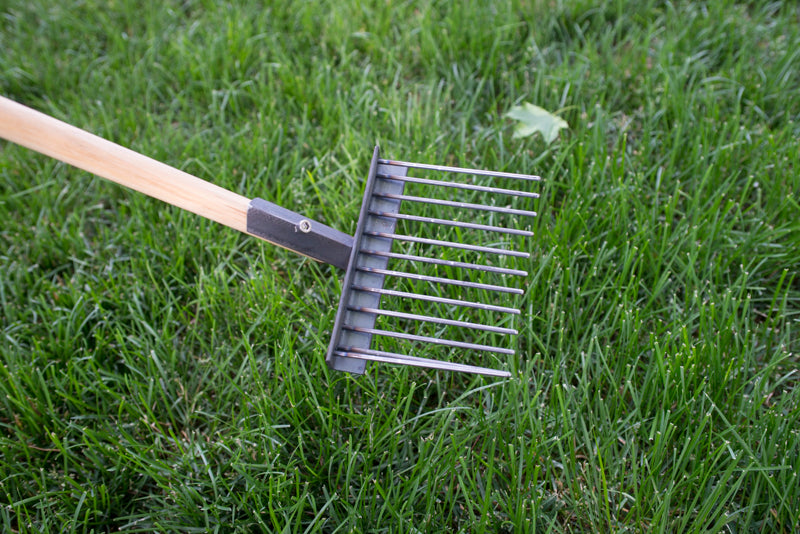 DSC_4791-1_1200x1200.jpg?v=1624215435